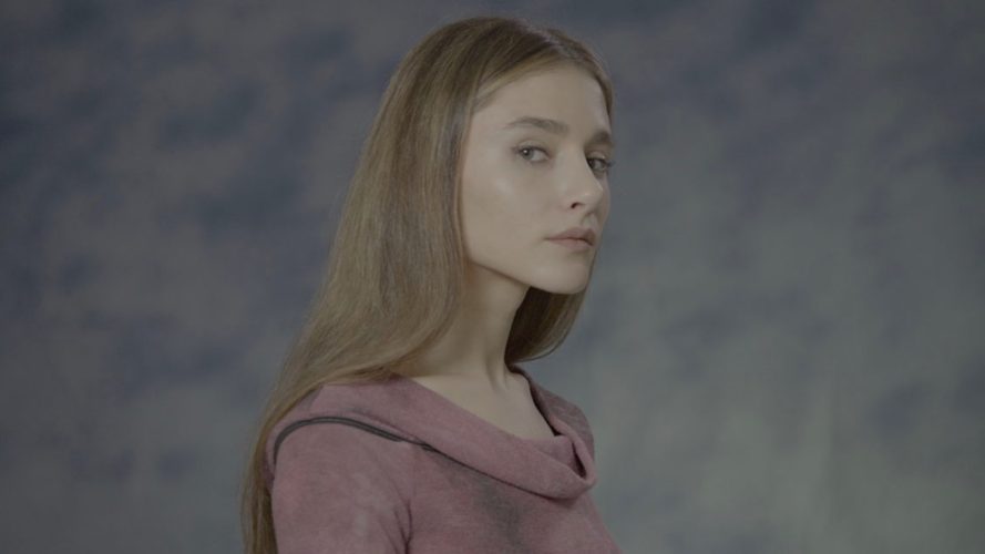 Panasonic Releases Free and Awesome VariCam & EVA1 3D LUT Library : A ...