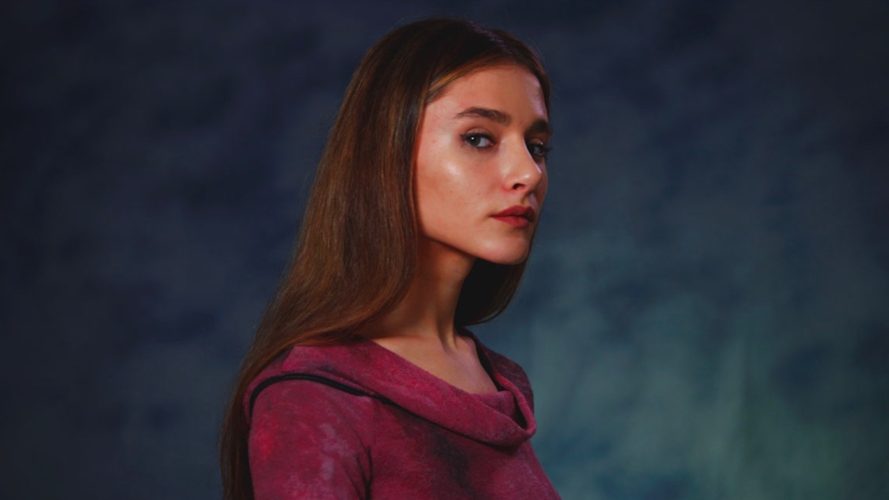 Panasonic Releases Free and Awesome VariCam & EVA1 3D LUT Library : A ...