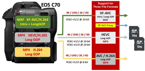 Canon EOS C70 After Six Months of Usage: A Real Filmmaking Machine - Y ...