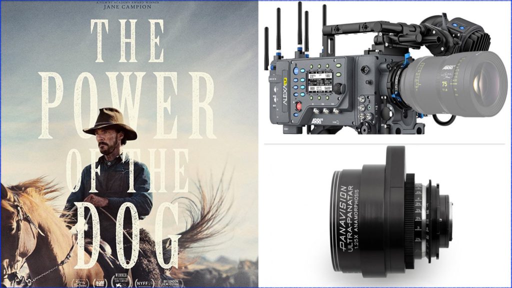 Ari Wegner - The Second Woman to be Nominated for Best Cinematography ...