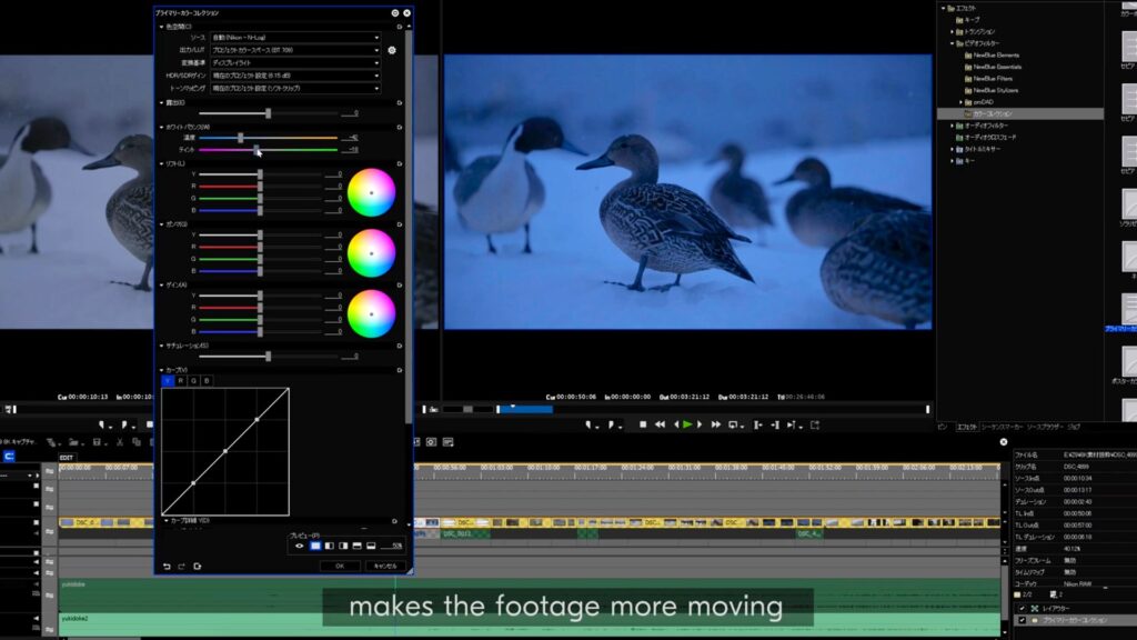 Nikon Shows off Z9’s 8K N-RAW Capabilities - Y.M.Cinema Magazine