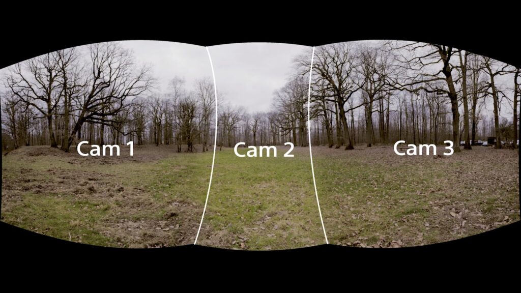 Shooting Plates: Multiple Cinema Cameras, or Ultra Wide Lens? - Y.M ...