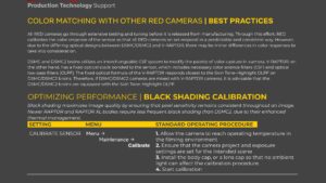 RED (Nikon) V-Raptor [X] 8K VV is Netflix Approved - Y.M.Cinema Magazine