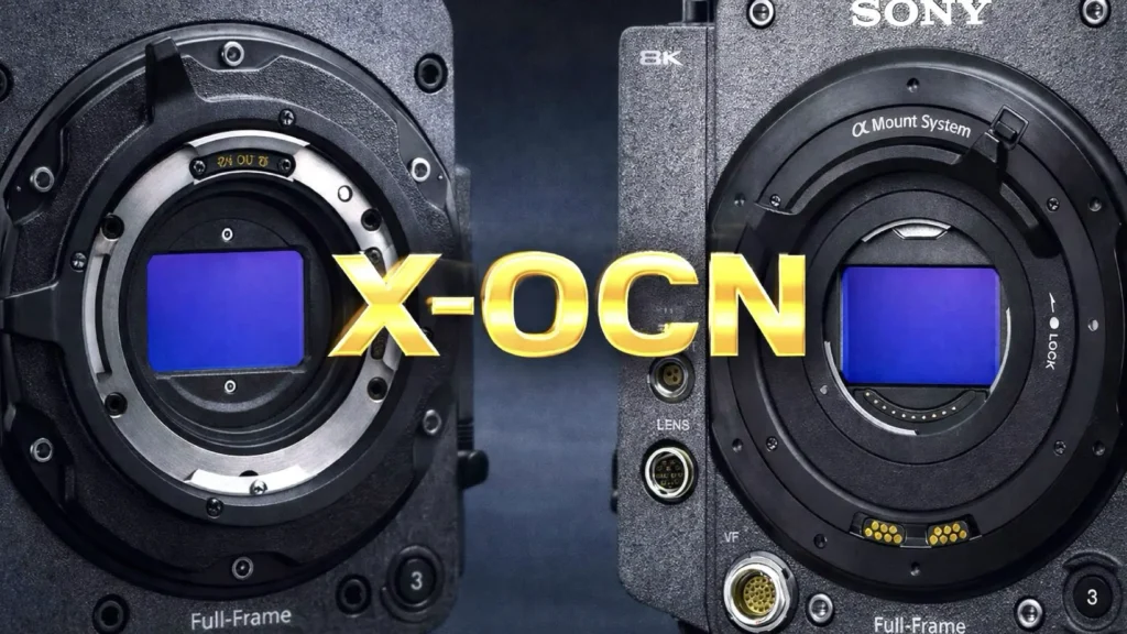 Blackmagic URSA Cine 12K LF vs PYXIS 12K: Two Filmmakers, Two ...